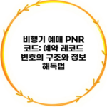 비행기 예매 PNR 코드: 예약 레코드 번호의 구조와 정보 해독법