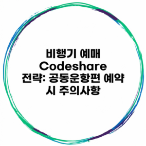 비행기 예매 Codeshare 전략: 공동운항편 예약 시 주의사항
